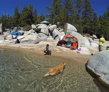 Your Ultimate Guide to Dog Friendly Tahoe Beaches